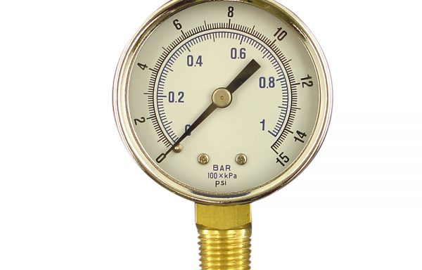Braxton Harris Company 30 lb Gas Test Gauge Assembly w/ 3/4″ FIP ...