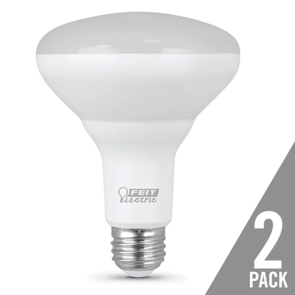 Feit Electric 650 Lumen 5000K Dimmable BR30 LED - Perry, NY - Burt's ...
